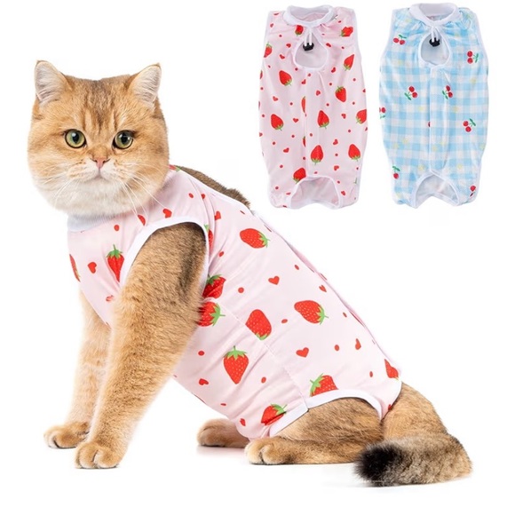 Cat | After Surgery Suits For Cats M | Poshmark